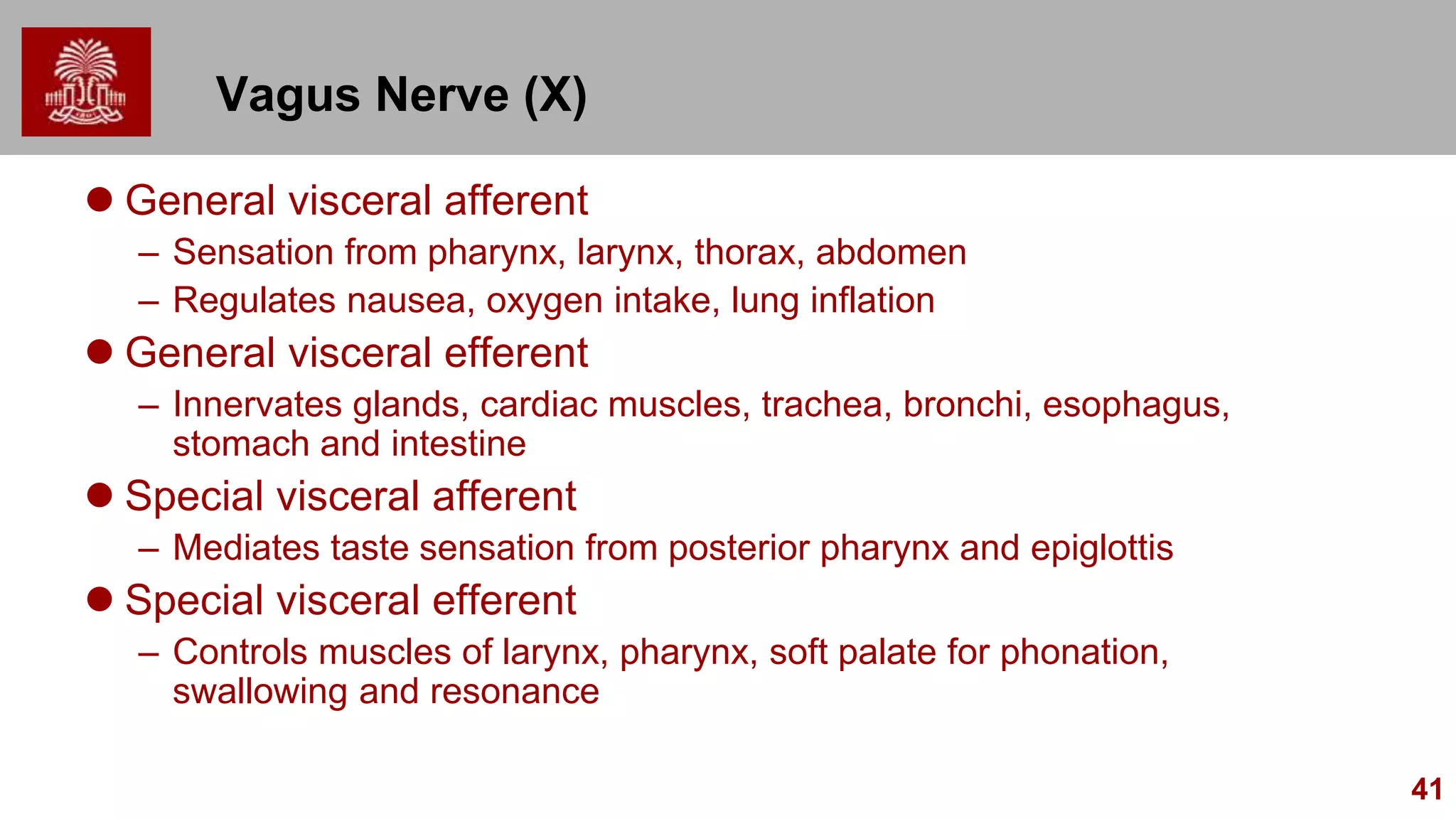 5 6 cranial nerves.pptx