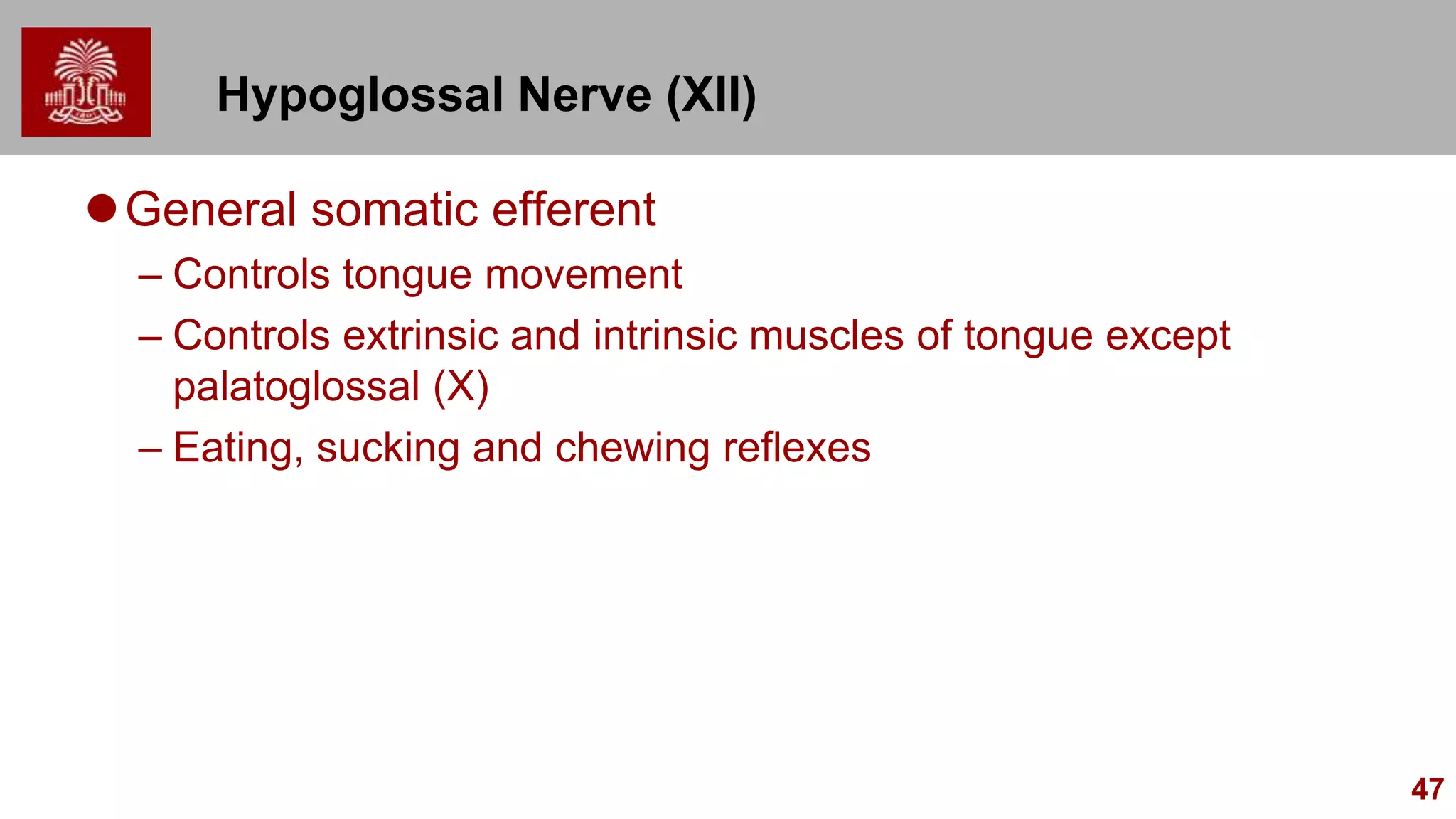 5 6 cranial nerves.pptx