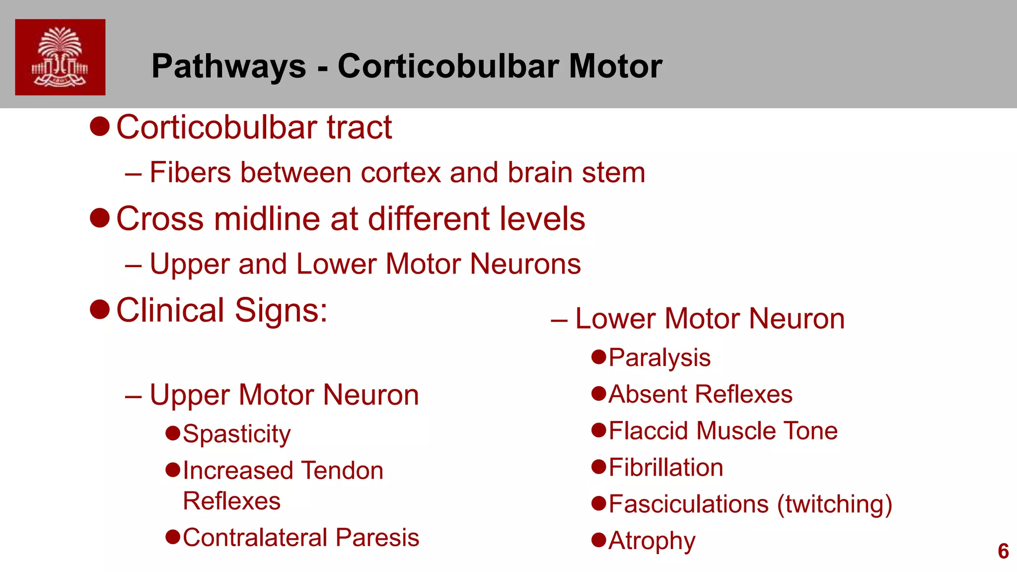 5 6 cranial nerves.pptx
