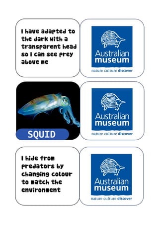 Adaptation Game | PDF