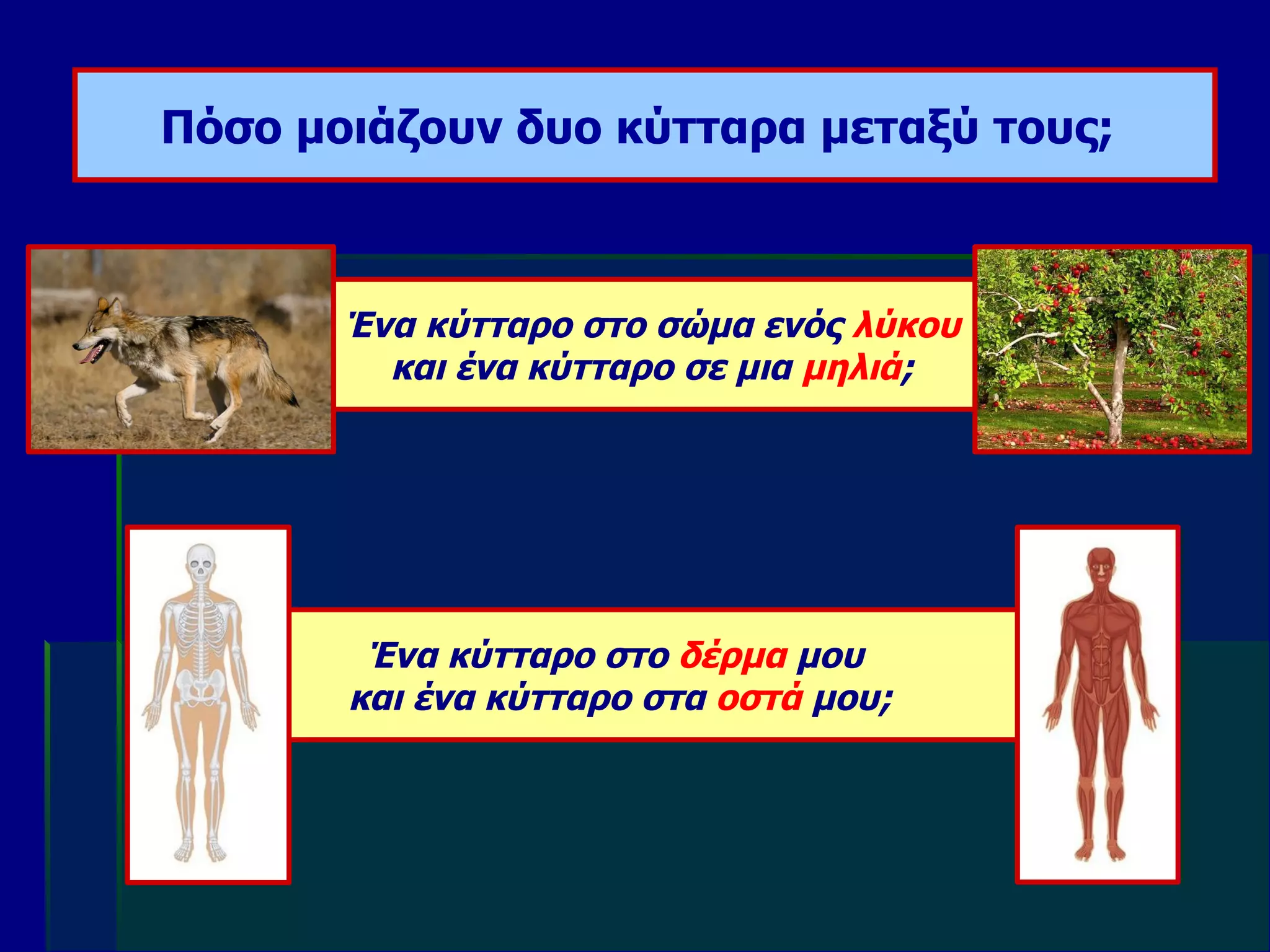 Τα κύτταρα | PPT