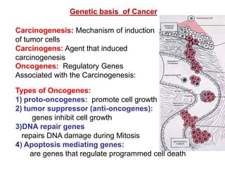 Biochemistry of Cancer | PPT