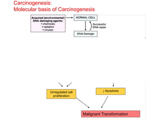 Biochemistry of Cancer | PPT