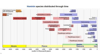 Лекторий 57 школы - Ценовая эластичность и Conjoint | PPT