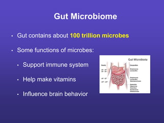 Probiotics | PPT