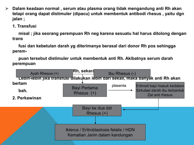 Sistem penggolongan darah dan pemeriksaan laboratorium reaksi transfusi ...