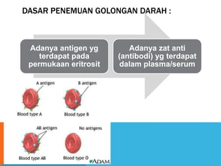 Sistem penggolongan darah dan pemeriksaan laboratorium reaksi transfusi ...