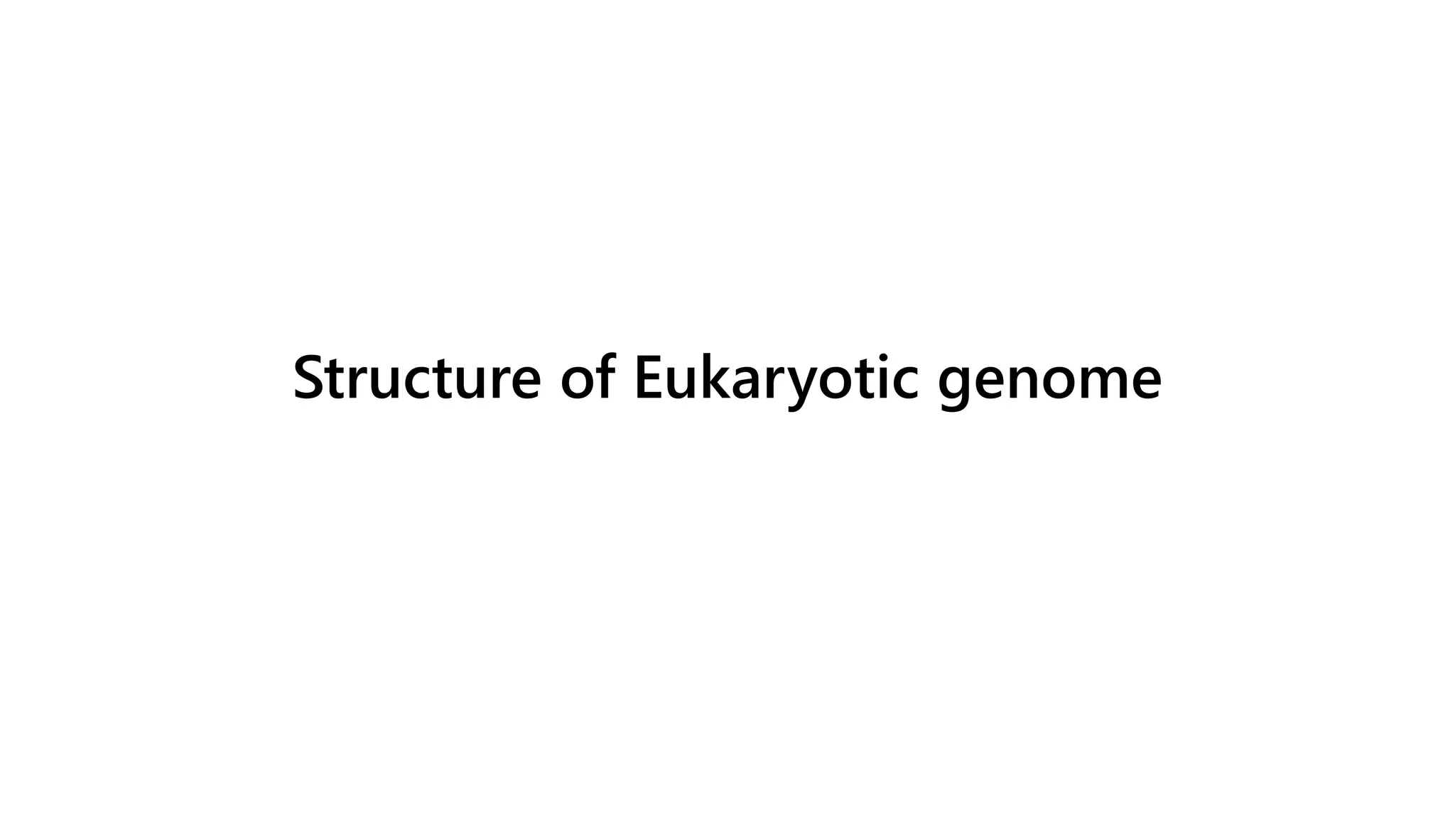 572770707-Structure-of-Eukaryotic-Genome.pdf | Biological Sciences ...