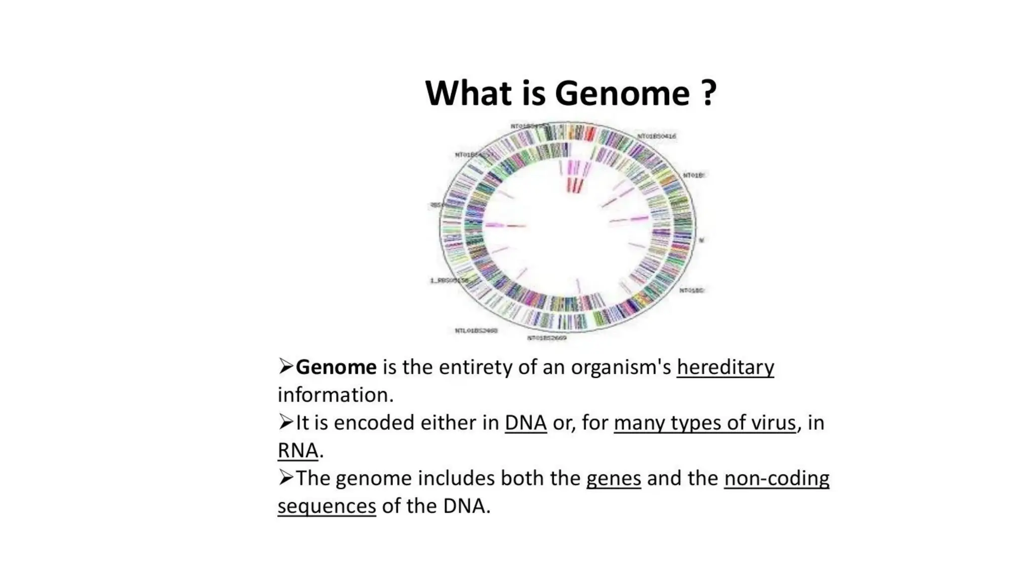 572770707-Structure-of-Eukaryotic-Genome.pdf | Biological Sciences ...