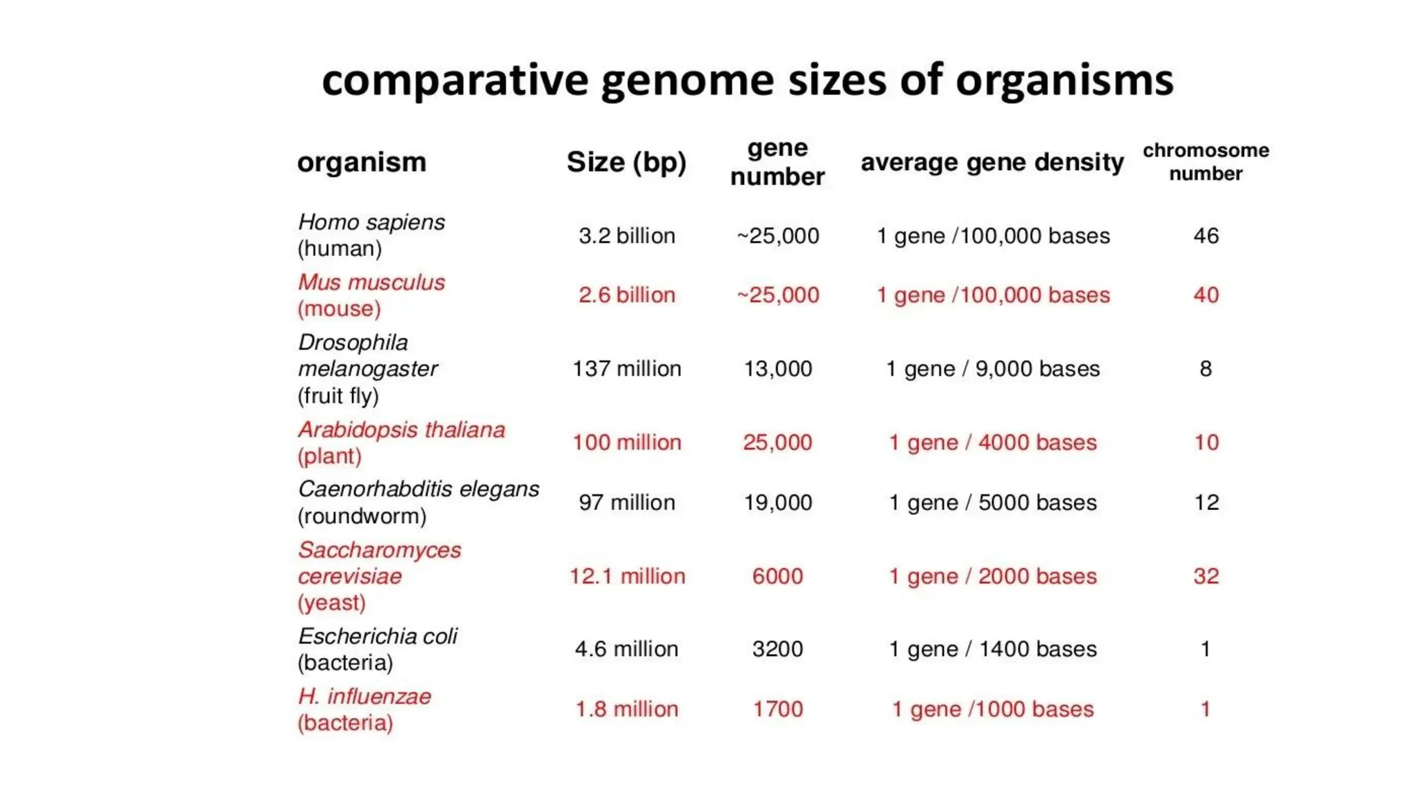 572770707-Structure-of-Eukaryotic-Genome.pdf | Biological Sciences ...