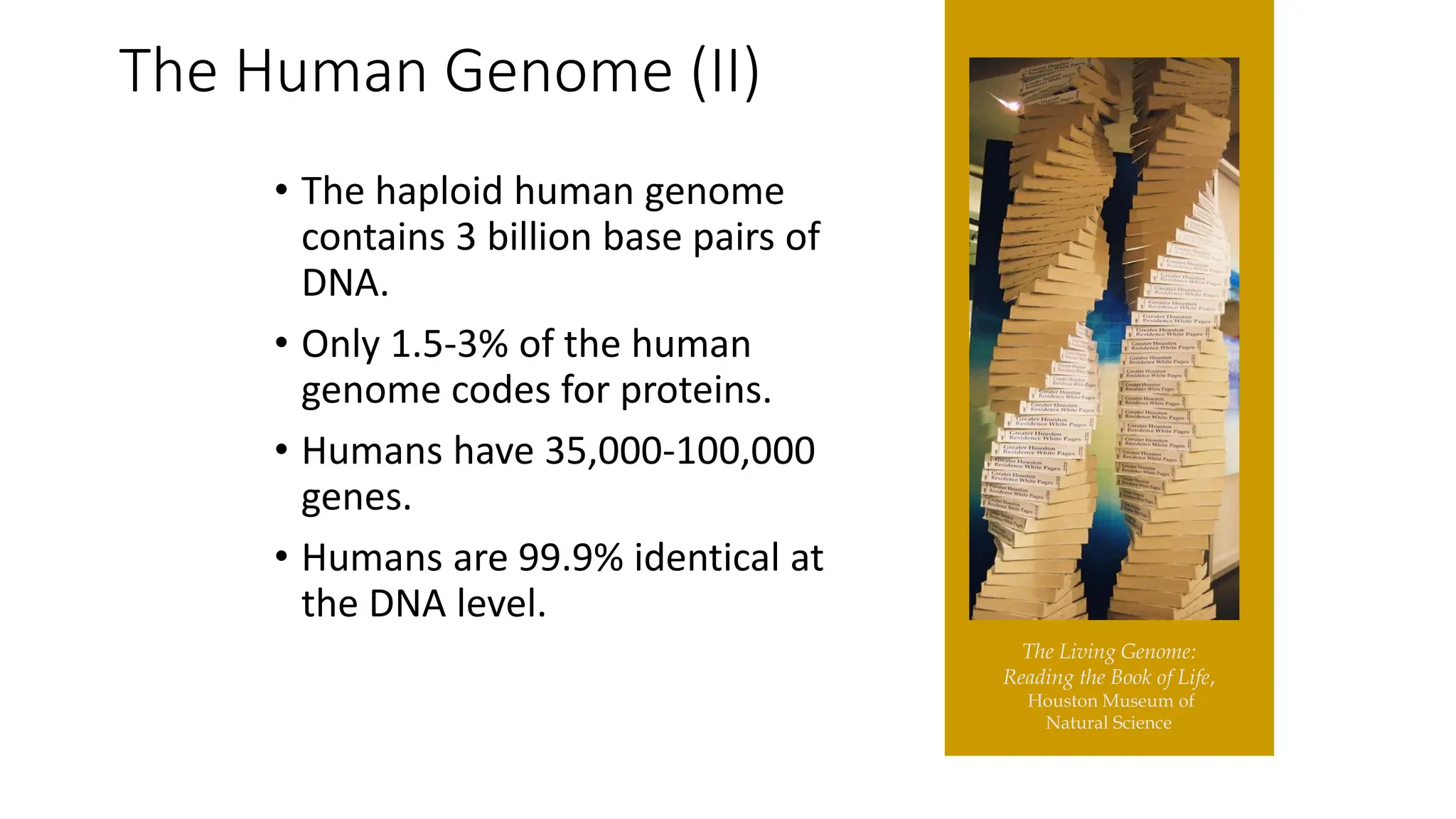 572770707-Structure-of-Eukaryotic-Genome.pdf | Biological Sciences ...