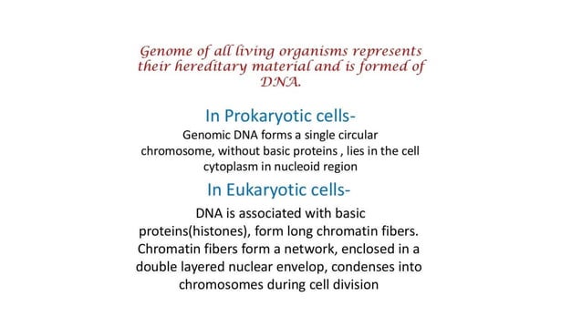 572770707-Structure-of-Eukaryotic-Genome.pdf | Biological Sciences ...