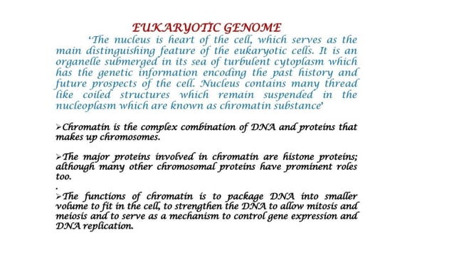 572770707-Structure-of-Eukaryotic-Genome.pdf | Biological Sciences ...