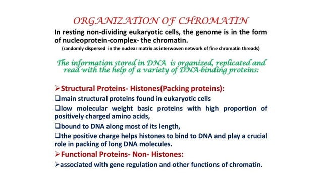 572770707-Structure-of-Eukaryotic-Genome.pdf | Biological Sciences ...