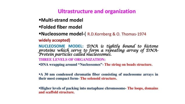 572770707-Structure-of-Eukaryotic-Genome.pdf | Biological Sciences ...