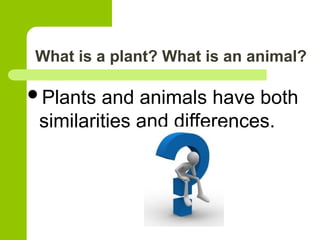 Identifying Plants and Animals Difference .ppt