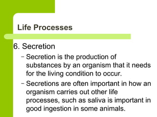Identifying Plants and Animals Difference .ppt