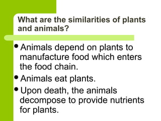 Identifying Plants and Animals Difference .ppt