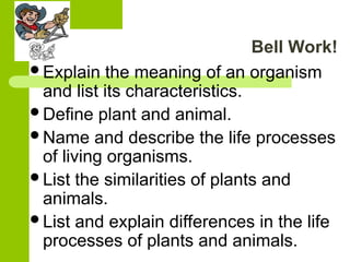 Identifying Plants and Animals Difference .ppt