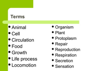 Identifying Plants and Animals Difference .ppt