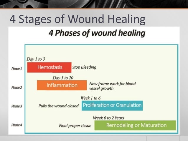 Biology of Wound Healing