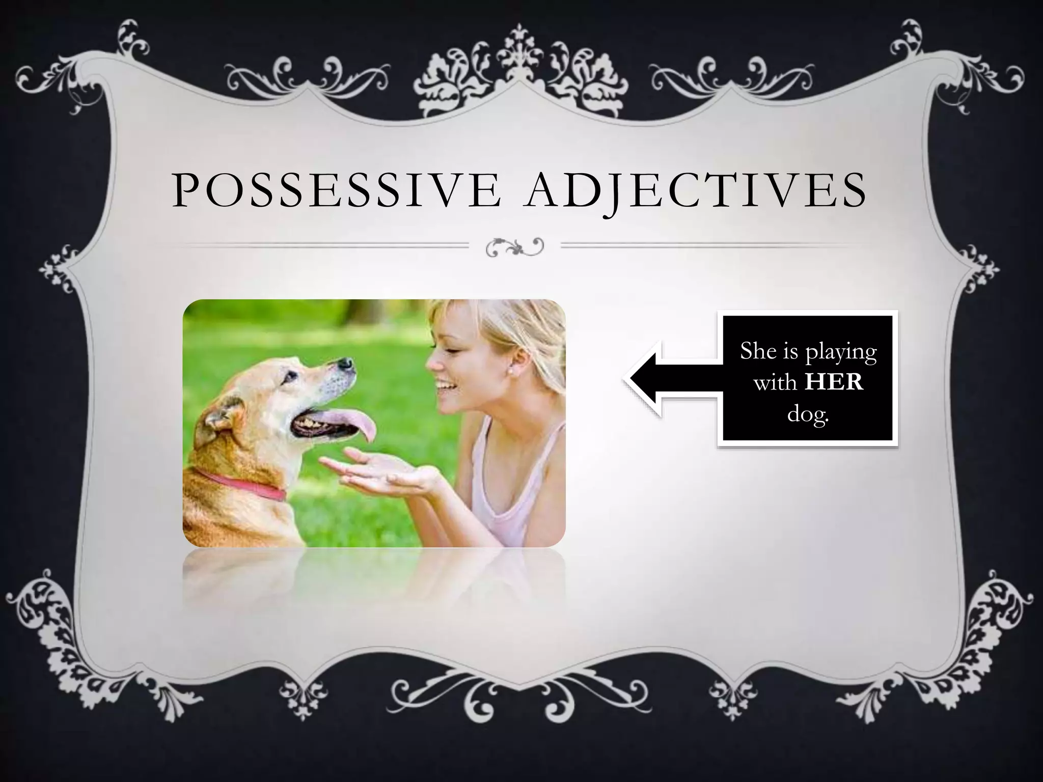 POSSESSIVE ADJECTIVES | PPT