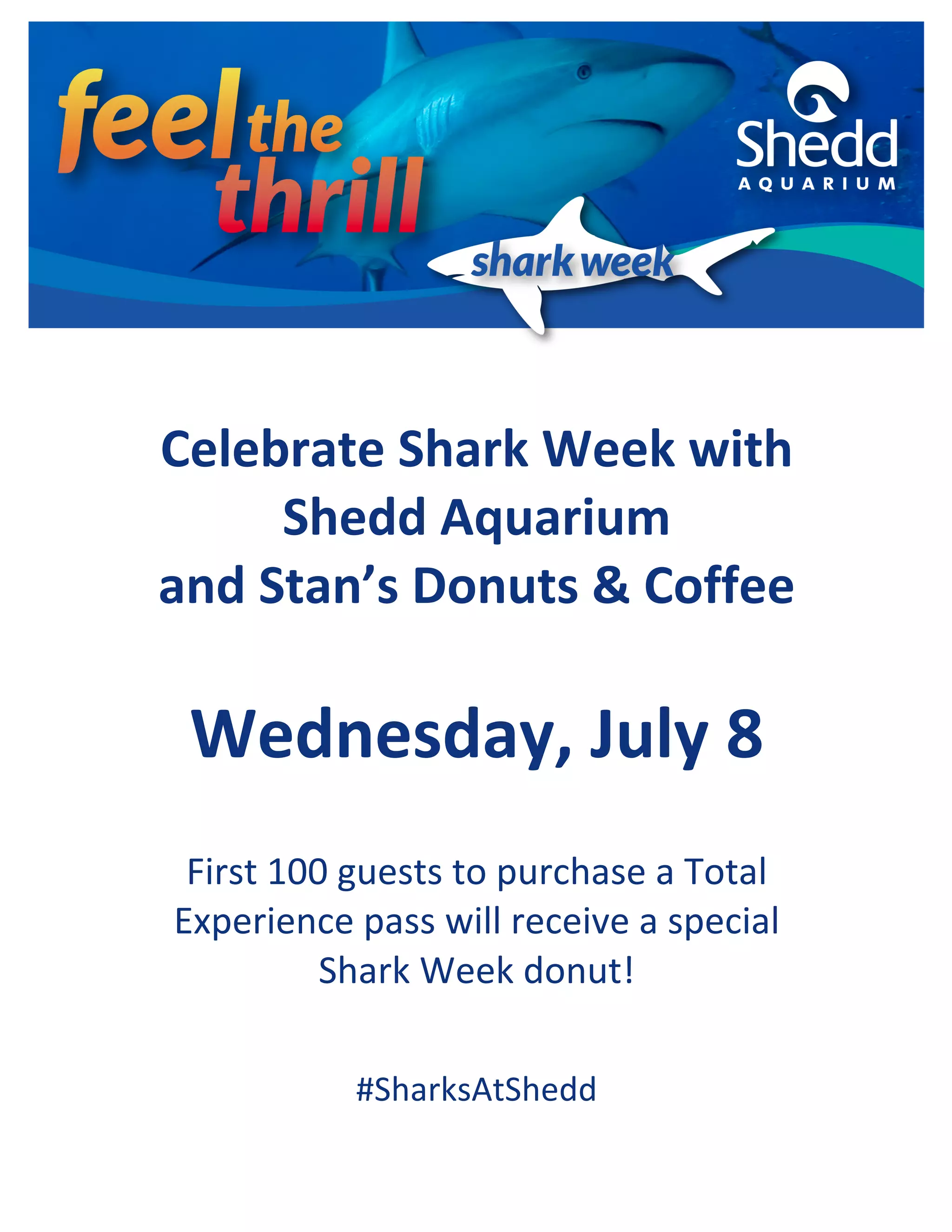 Shark Week Signage | PDF
