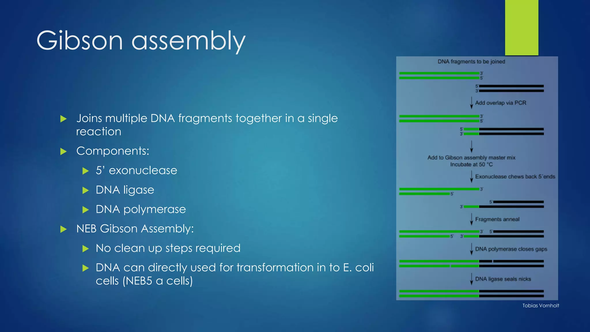 Neon Revival Through Gibson Assembly_link | PPTX