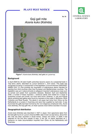 55_GojiGallMite-5 | PDF