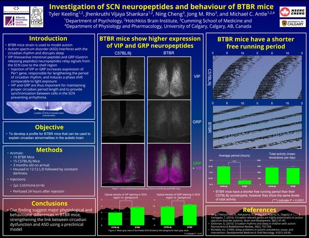 HYRS BTBR mice poster | PDF
