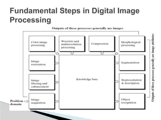 Comprehensive Overview of Digital Image Processing Techniques and ...