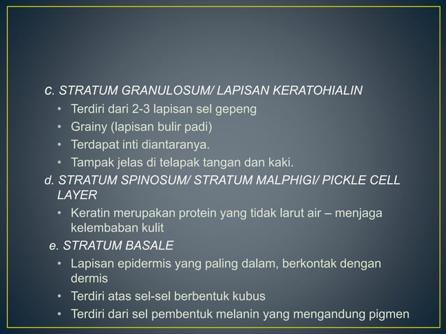 576938471-ANATOMI-FISIOLOGI-SISTEM-INTEGUMEN.pptx