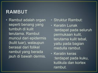 576938471-ANATOMI-FISIOLOGI-SISTEM-INTEGUMEN.pptx