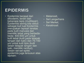 576938471-ANATOMI-FISIOLOGI-SISTEM-INTEGUMEN.pptx