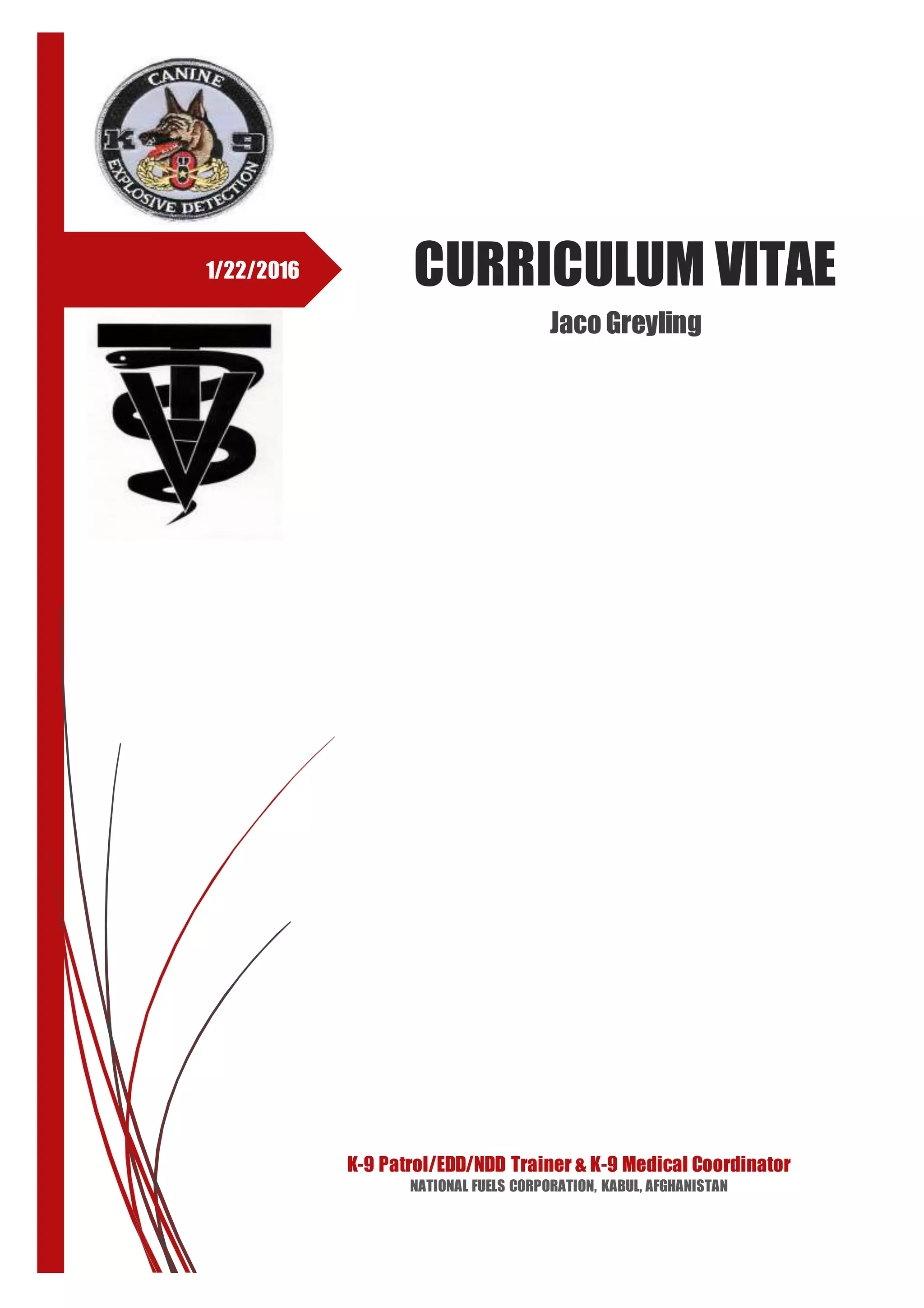 CURRICULUM VITAE 2015 | PDF