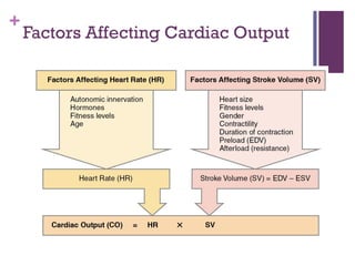 controle of cardiac output regulation.ppt