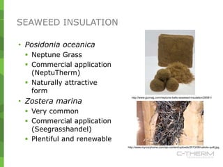 The Canadian Thermal Analysis Society Conference 2016 - Presentation | PPTX