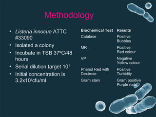 Listeria Presentation (1) | PPT