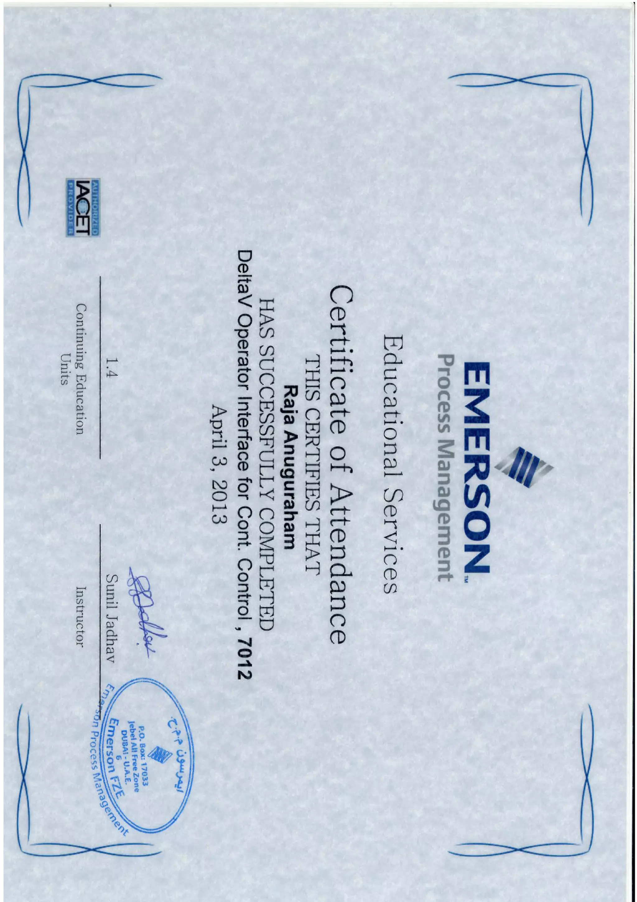 Emerson Simulator Trg Certificate | PDF