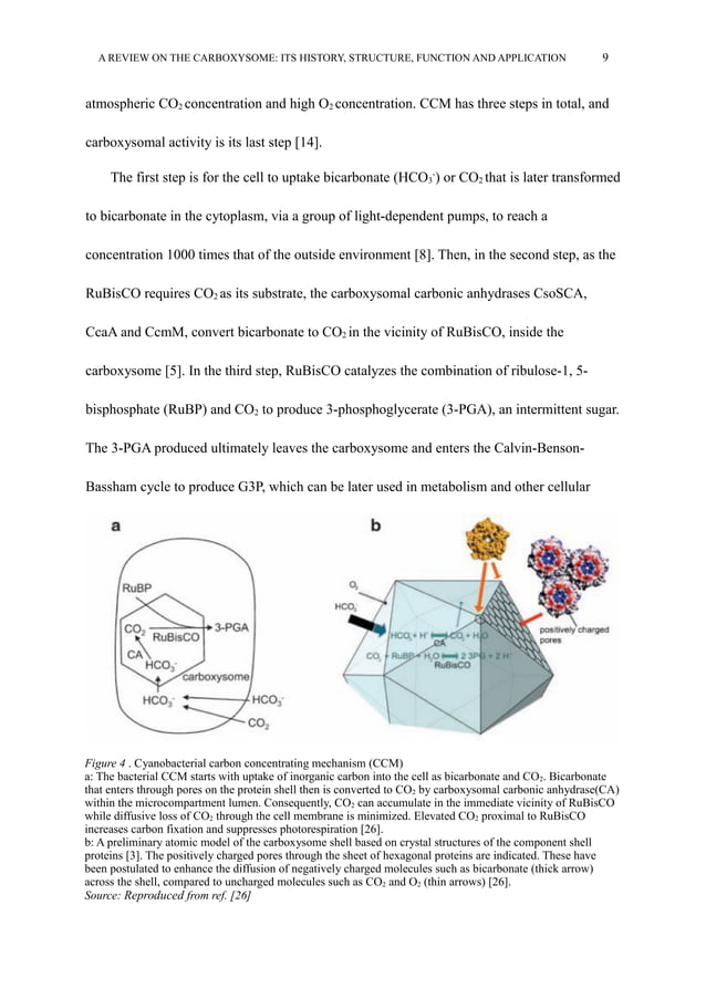 A Review on the Carboxysome_its History, Structure, Function, and ...