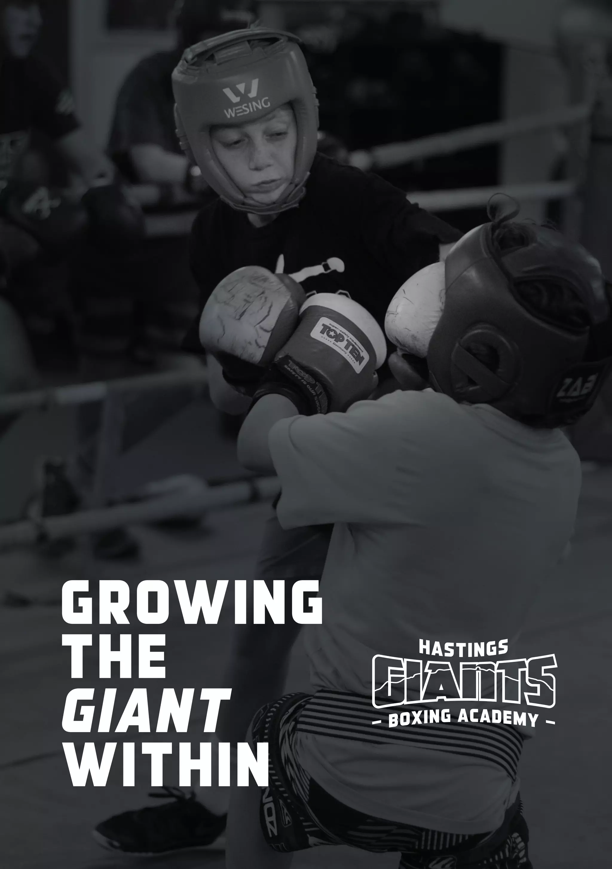 Giants Boxing Brochure | PDF