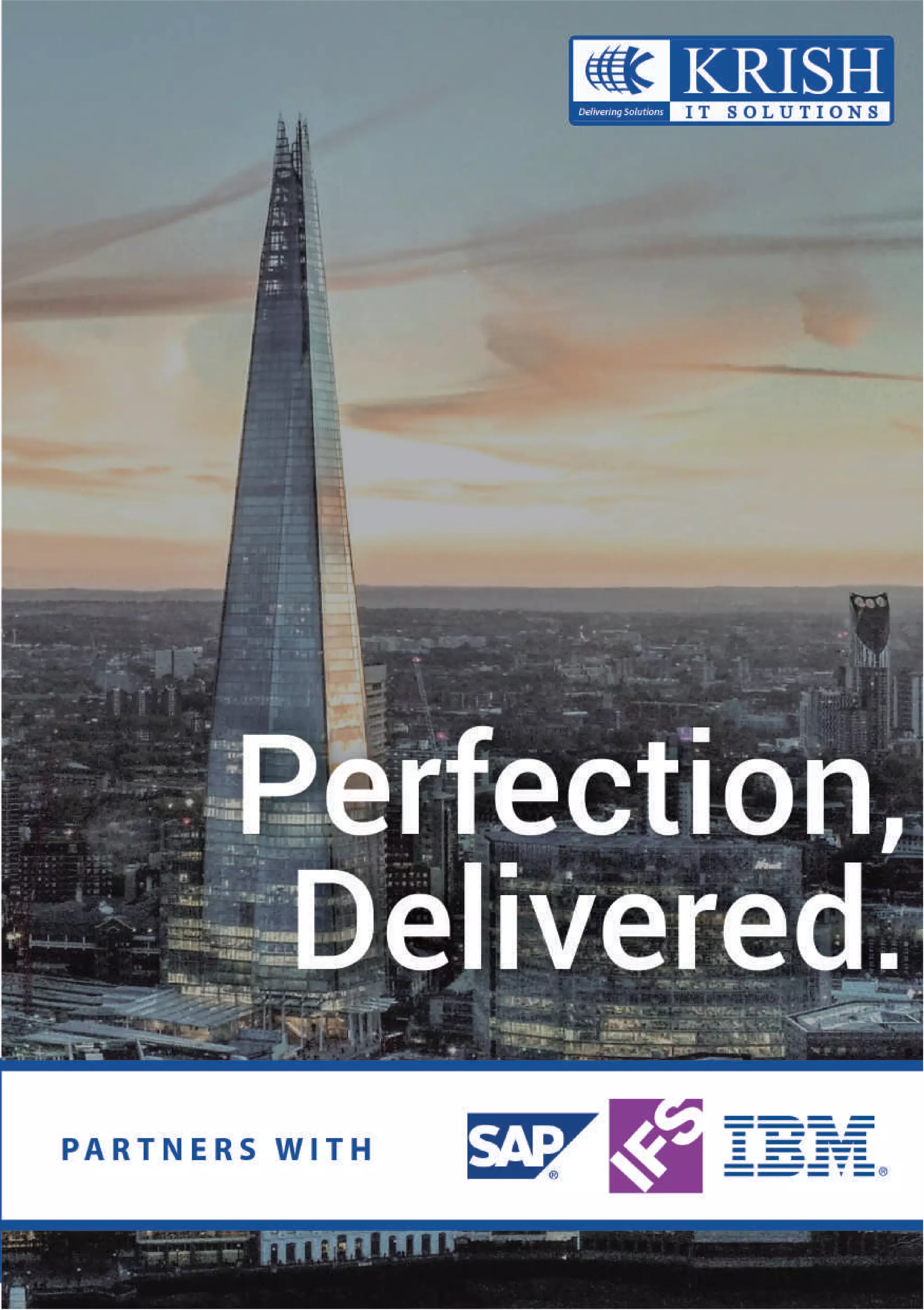 Krish IT Profile | PDF