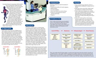 Intro to EECP VSK.PDF