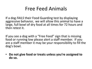 Safe Animal Handling Part 2 | PPT