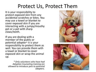 Safe Animal Handling Part 2 | PPTX