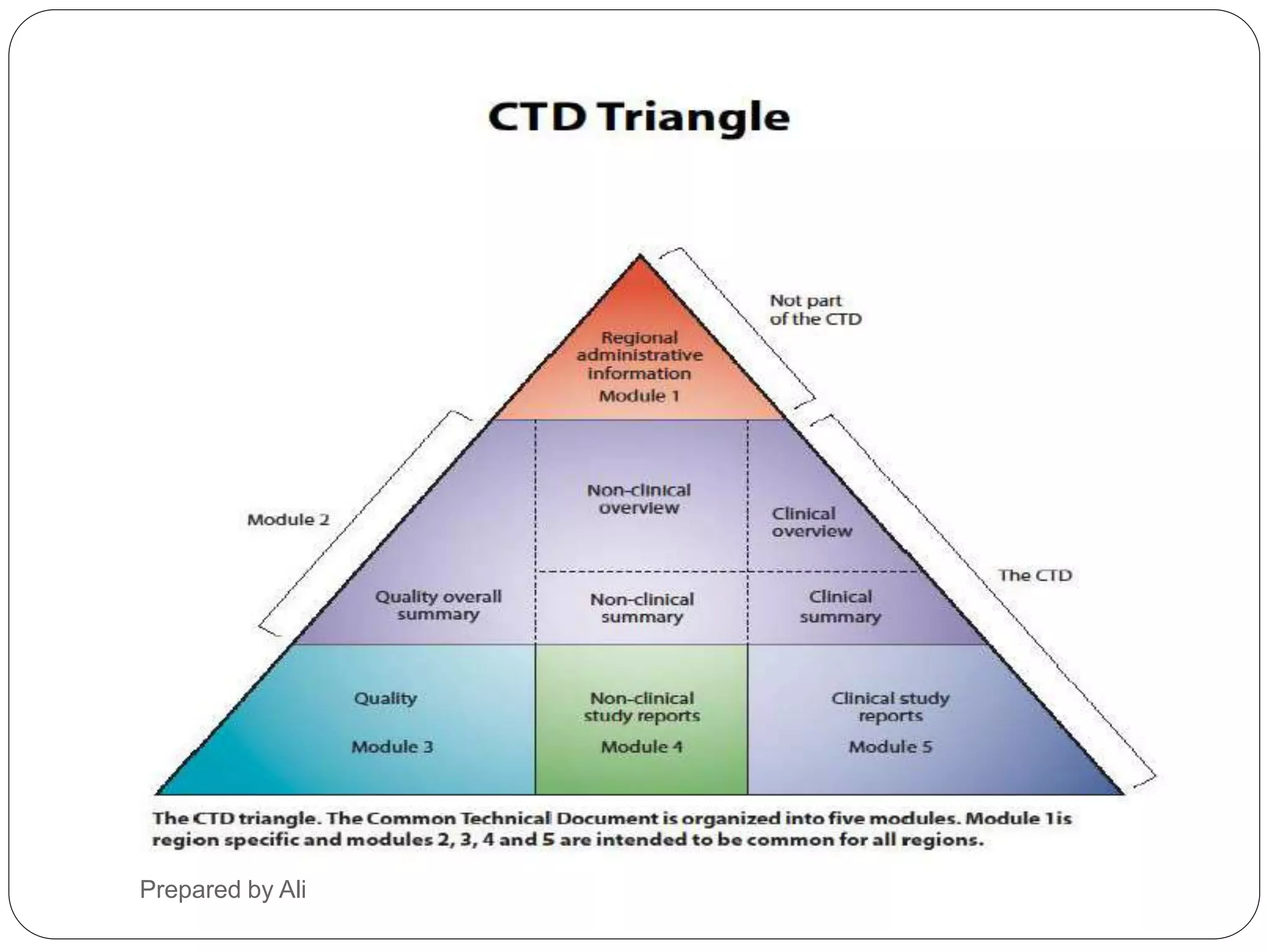 CTD Guidelines Overview | PDF