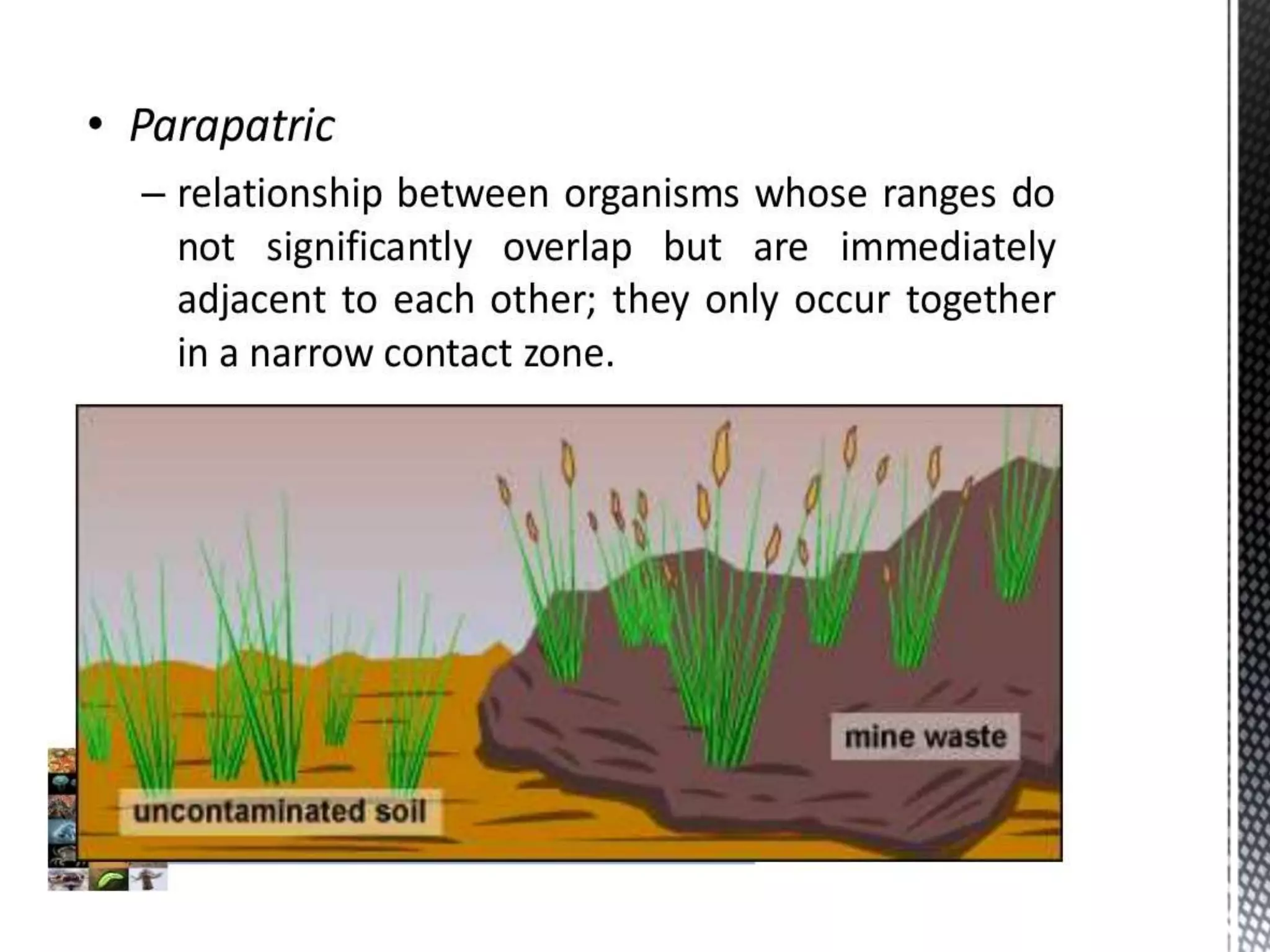 58.Biodiversity factors affecting species diversity , A Presentation By ...
