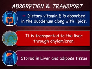 Vitamin E | PPSX