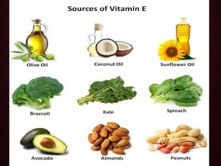 Vitamin E Sources
