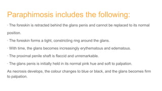 58- Phimosis and paraphimosis by Gurpreet.pptx